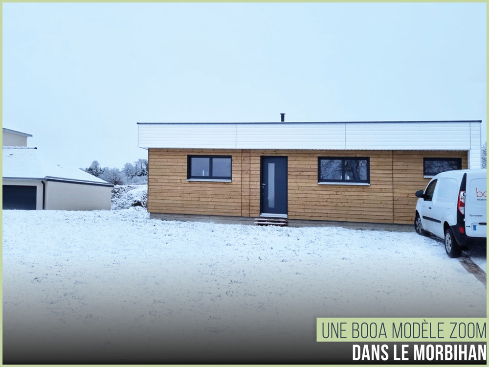 Une booa modèle zoom dans le Morbihan